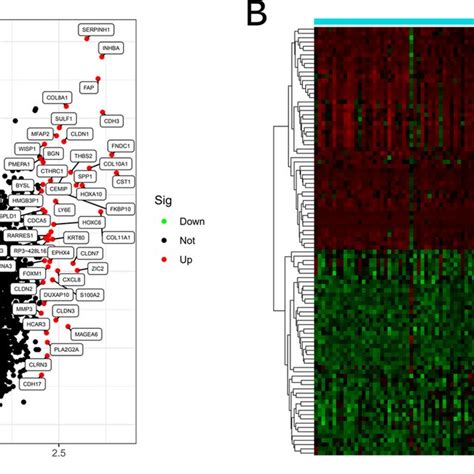 Differential Expression Analysis A Volcano Plot Between Gc And Control