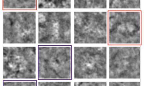 randomness of particle selection in dataset previews troubleshooting