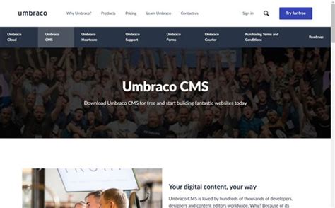 sitemap freelance systemudvikling og umbraco udvikling