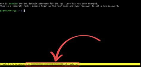 how to setup raspberry pi terminal sharing pi my life up
