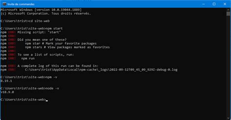 erreur commande npm start cours creez des pages web dynamiques