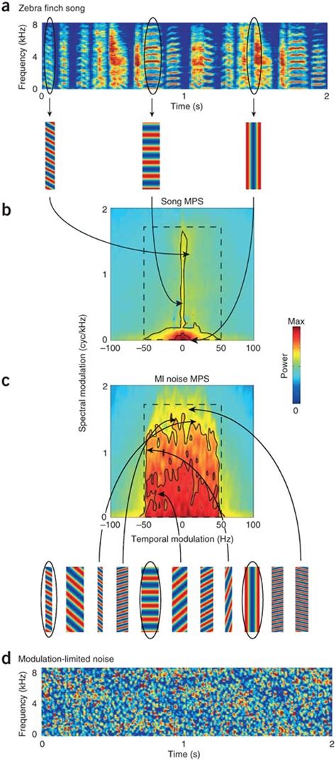 Spectro Temporal Modulations In Song And Modulation Limited Ml