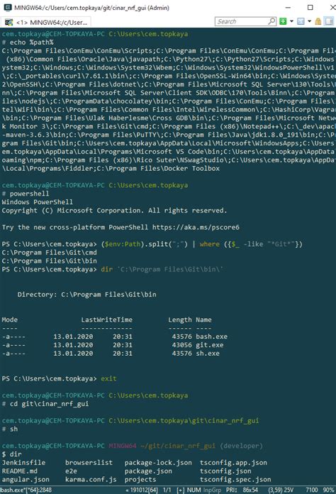 showing git branch in conemu stack overflow
