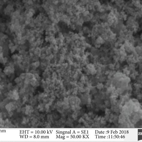 Sem Micrograph Shows The Surface Morphology Of A Nanoporous Tio2 Film