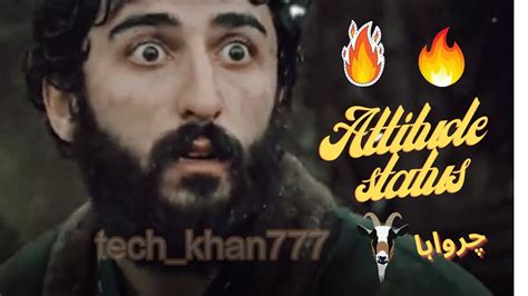 🔥 🔥 Charwaha 🦁 On Fight 2022 🔥🔥 Osman Drama Shephered 🔥🔥 Shorts
