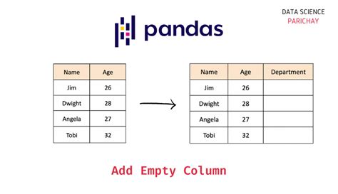 pandas add an empty column to a dataframe data science parichay
