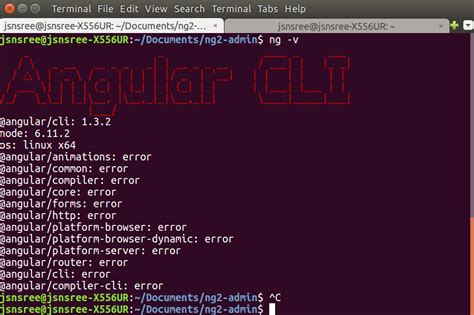 angularjs the angular compiler cli package was not properly