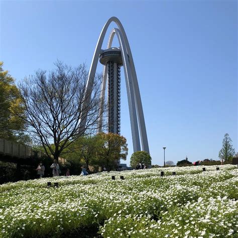 国営木曽三川公園138タワーパーク│栄進物流株式会社