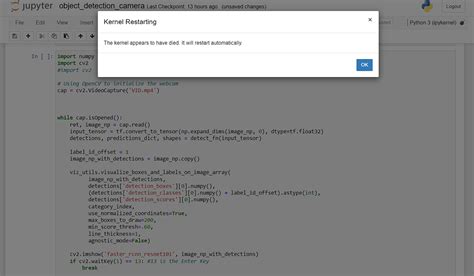 why kernal dead when programm is excute in jupyter kernels jupyter