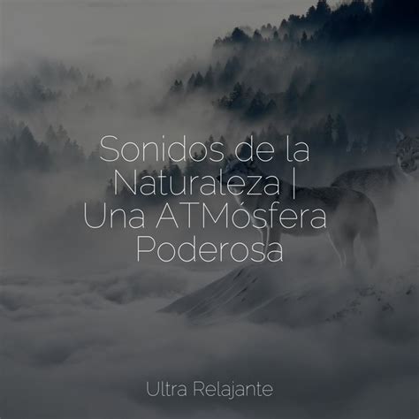 Sonidos De La Naturaleza Una Atmósfera Poderosa Album By Academia