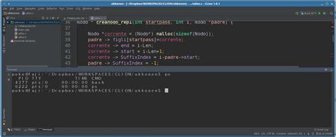 intellij idea terminal console fonts in jetbrains products linux