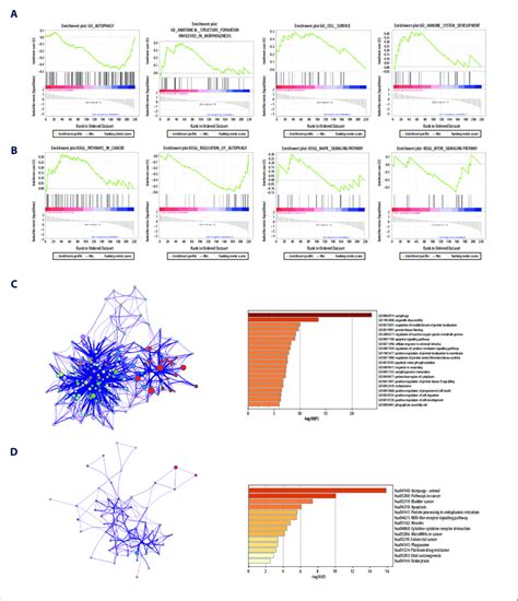 Gene Functional Enrichment Analysis Of Args A Gene Ontology Go