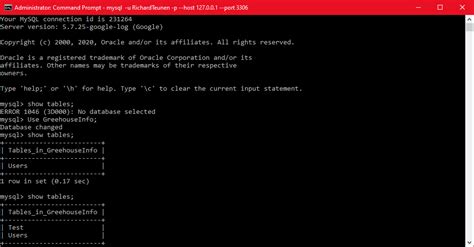 node js cloud sql mysql database tables not found when created from