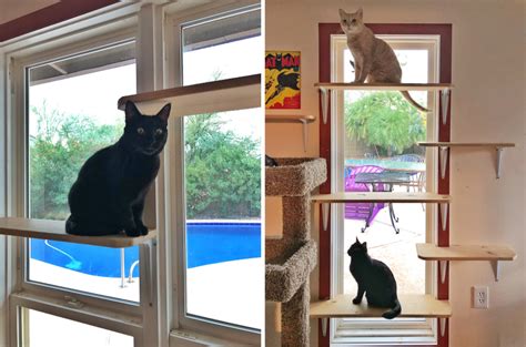 Amazing Cat Superhighway From The Catification Couple Artofit