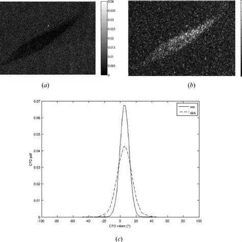 C And L Band Sir C X Sar Data Set Download Scientific Diagram