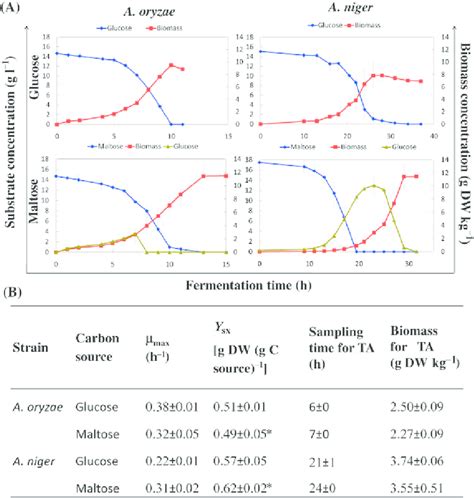 Biomass And Substrate Concentration Profiles With The Different Carbon