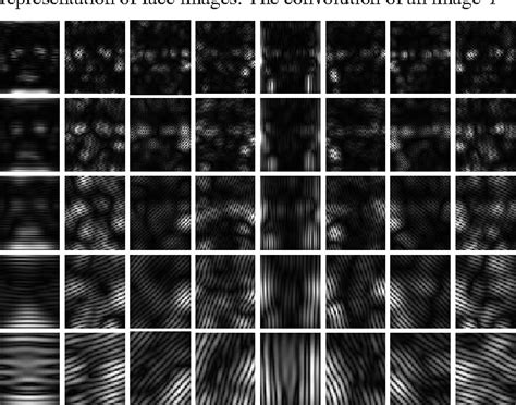 Figure 2 From A Face Recognition Algorithm Using Gabor Wavelet And