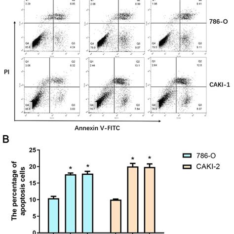 Stk33 Knockdown Reduced Cell Migration In 786 O And Caki 1 Cells A