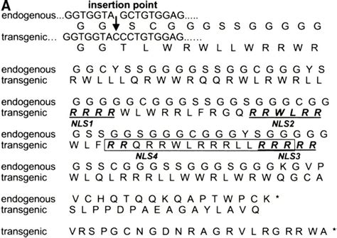Ml Vs Loricrin Sequence Altered Gfp Localization In Hela Cells A