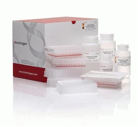 Invitrogen™ Purelink™ Pro 96 Total Rna Purification Kit Kit De