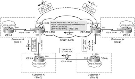ospf pe ce routing protocol overview configuration and verification