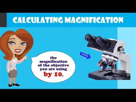 How To Calculate Total Magnification A Comprehensive Guide The Tech