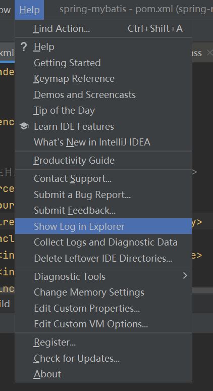 异常总结 2 ：maven cannot reconnect java lang runtimeexception