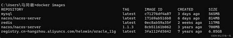 windows环境下使用docker安装oracle11g windows docker oracle csdn博客