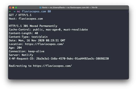 how to use netcat