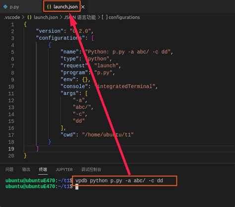 vscode设置python代码debug 调试 与带参数调试 悟透 博客园
