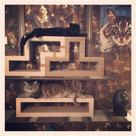 Hauspanther On Instagram “multi Level Lounging Cats Catsofinstagram