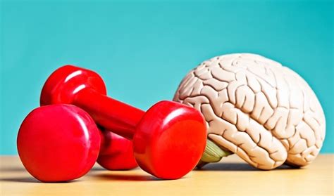 چند راهکار ساده برای تقویت حافظه ظرف مدت ۱۰ روز بهداشت نیوز