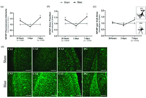 To Provide A Comprehensive Analysis Of Astrocyte Reactivity In The