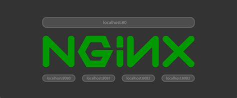 learn how to run an nginx proxy on your local machine to shepherd