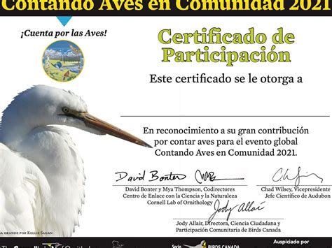 Todo Lo Que Debes Saber Sobre El Certificado Literal De Matrimonio