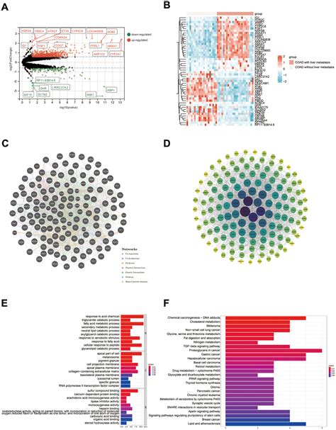 Investigating Gene Signatures Associated With Immunity In Colon
