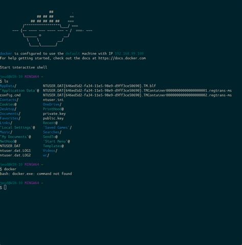 windows running docker using conemu stack overflow