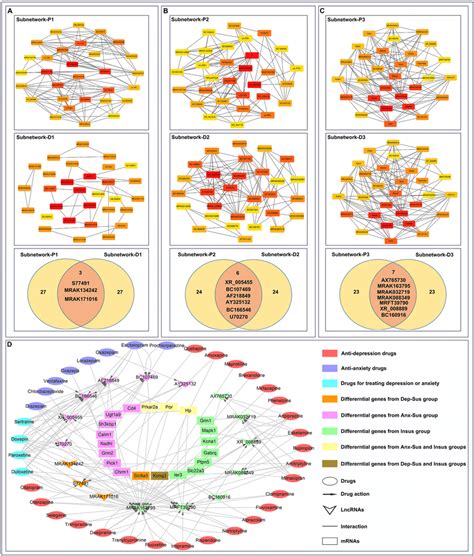 Subnetwork Analysis A B And C Phenotype Associated Subnetwork P1