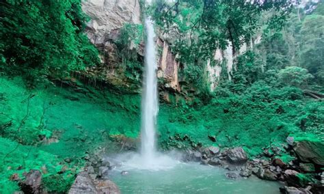 Air Terjun Putri Malu Way Kanan Wisata Tersembunyi Di Register 24