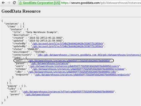 prepare the jdbc connection string gooddata enterprise