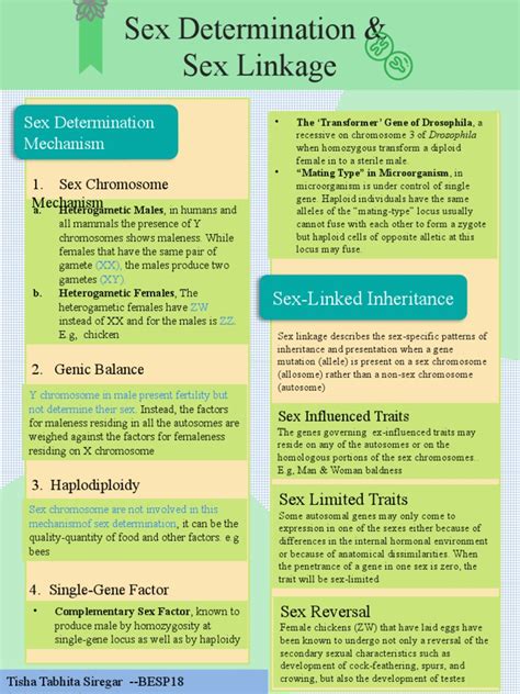 Genetics Poster Sex Determination And Sex Linkage Pdf Sex Male