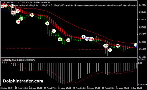 do forex ea robot and be your expert programmer for mt4 mt5 by