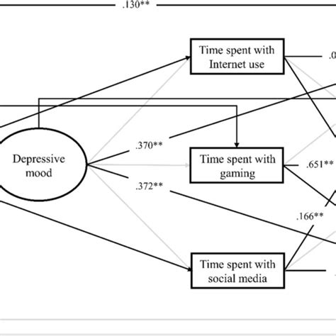 Standardized Parameter Estimates From The Examined Model Note P