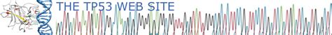 The Tp53 Website Seshat