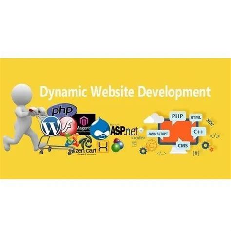 php javascript dynamic website development service with 24 7 support