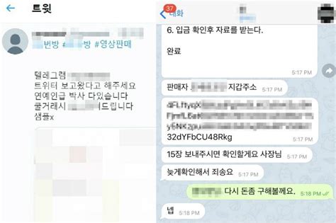 박사방 영상 있다…광고해 성착취물 유통한 20대 노컷뉴스