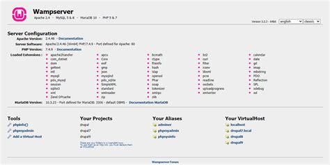 setting up a local development server with wamp for windows 10 duvien