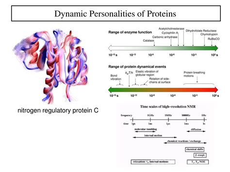 Ppt Introduction To Structural Bioinformatics Powerpoint Presentation