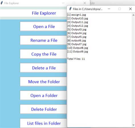 file explorer in python using tkinter copyassignment