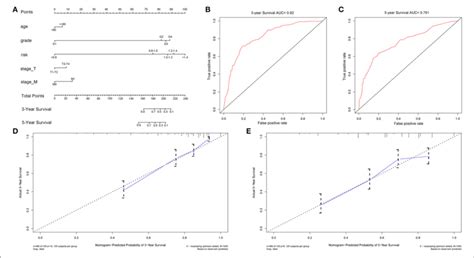 Nomogram Model Constructed By Independent Prognostic Factors